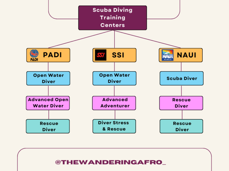 10 Common Questions New Divers Have about Scuba Diving - The Wandering ...