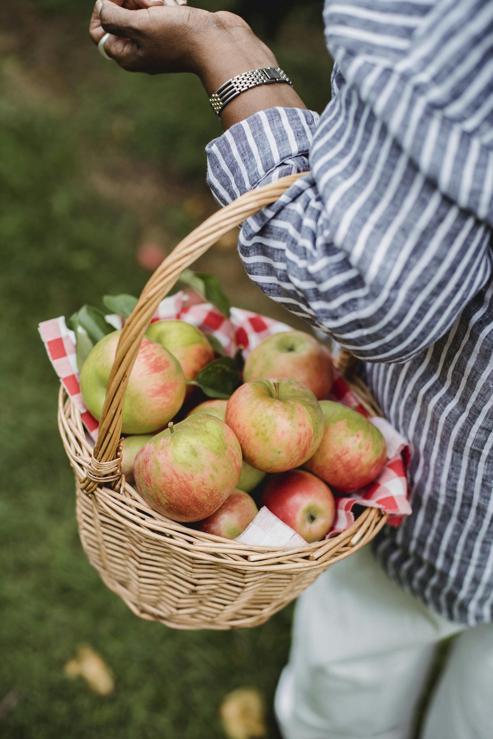 Apple Picking in Virginia: A Complete Guide - The Wandering Afro:Travel ...