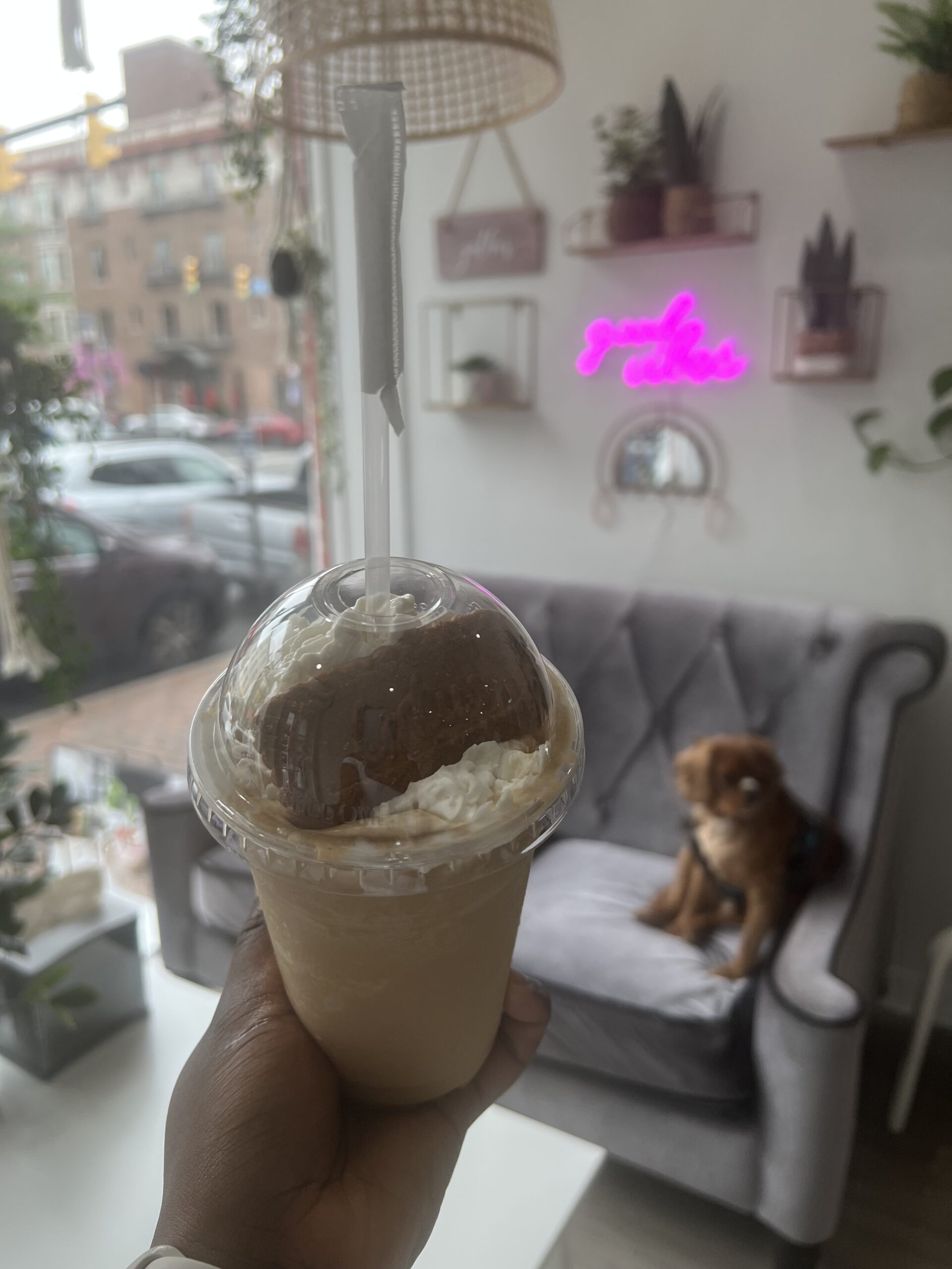 Best Desserts and Ice Cream in Alexandria (Local Approved) - The ...