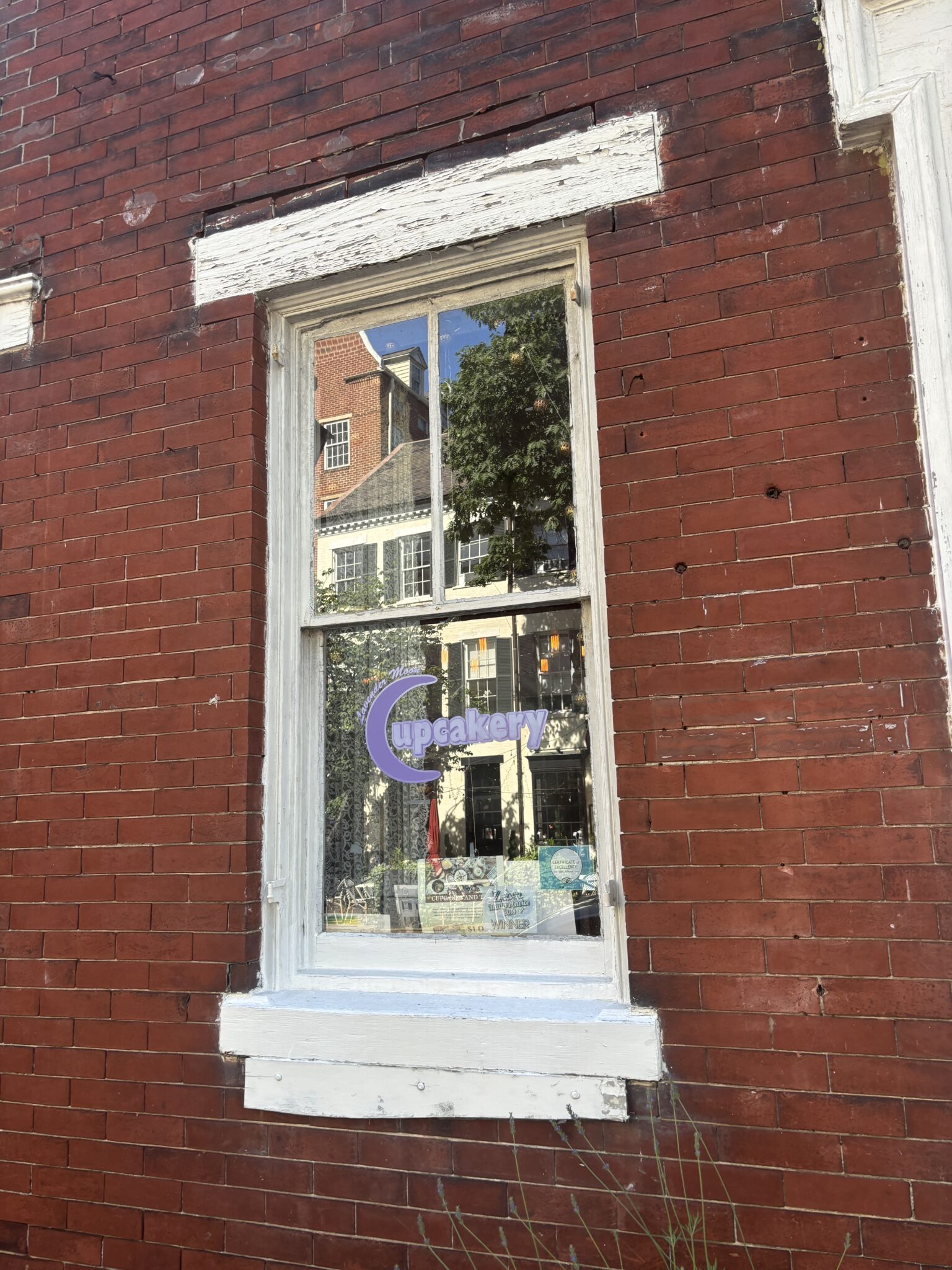 Best Desserts and Ice Cream in Alexandria (Local Approved) - The ...