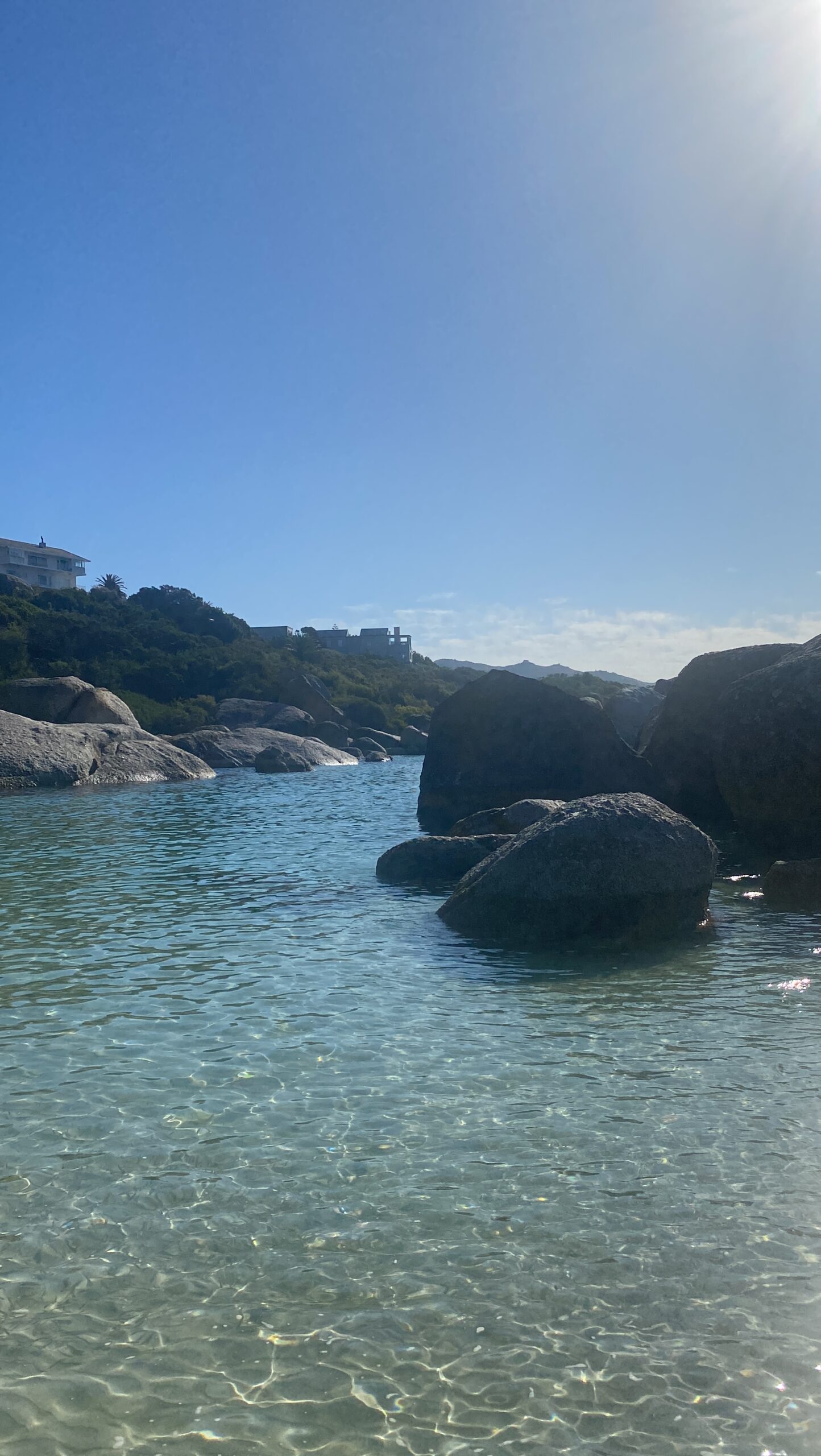 How To Hang Out with Penguins at Boulder Beach - The Wandering Afro ...
