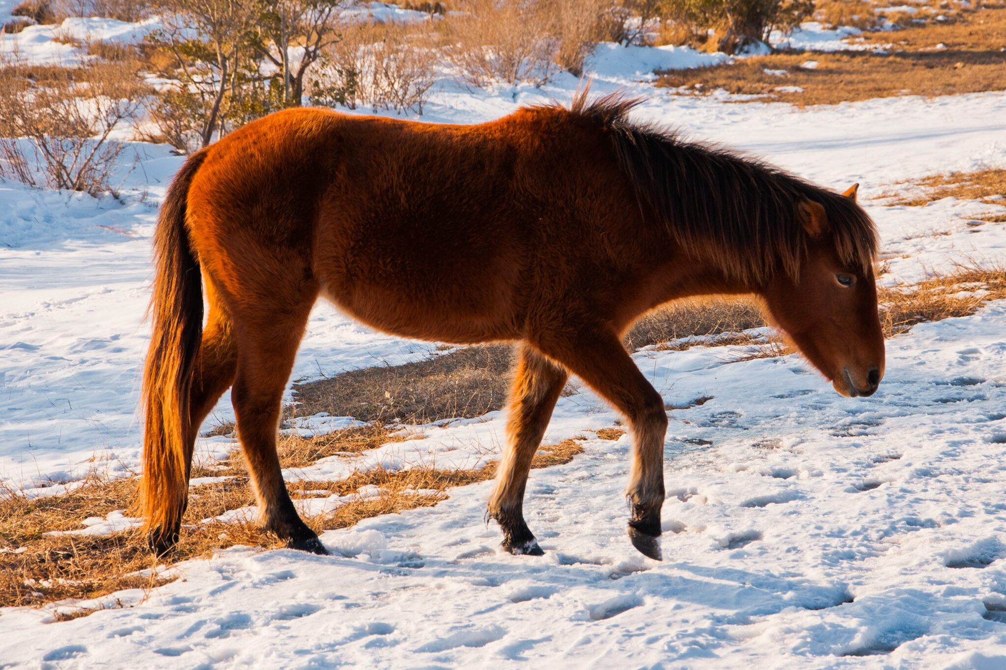 10+ Epic Places to Visit in Virginia in Winter - The Wandering Afro ...