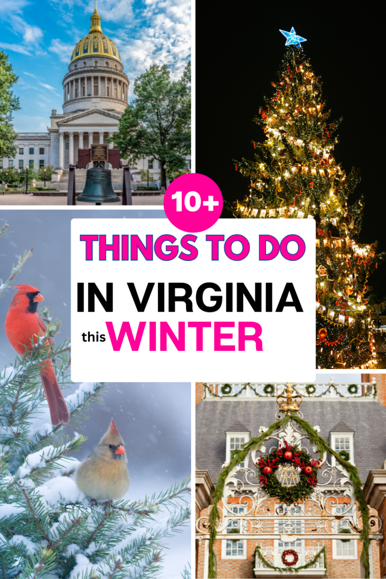 10+ Epic Places to Visit in Virginia in Winter - The Wandering Afro ...