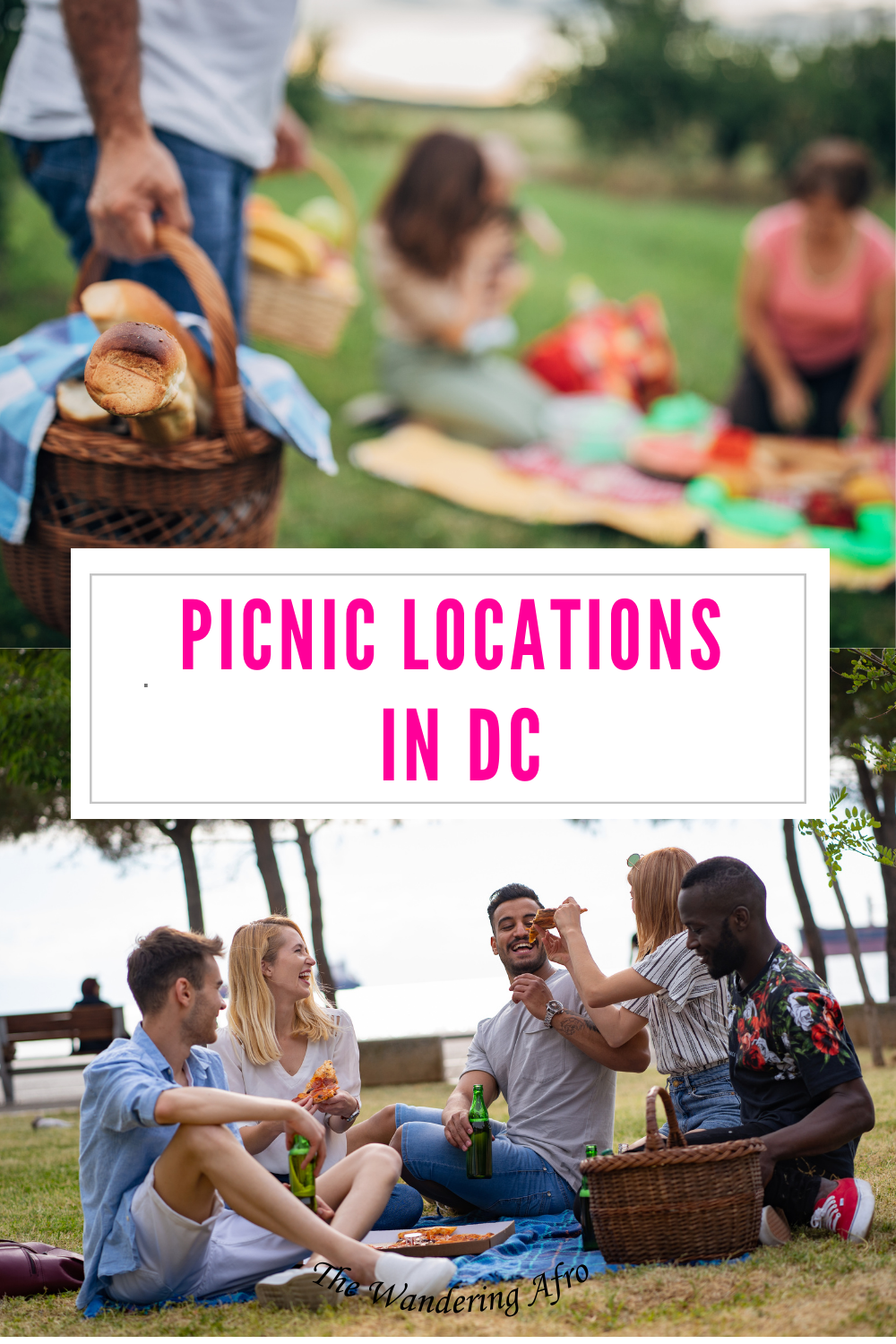 Best Picnic Spots in Northern Virginia and DC - The Wandering Afro ...
